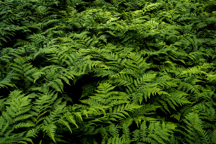 Contact Us – Compass Laboratory