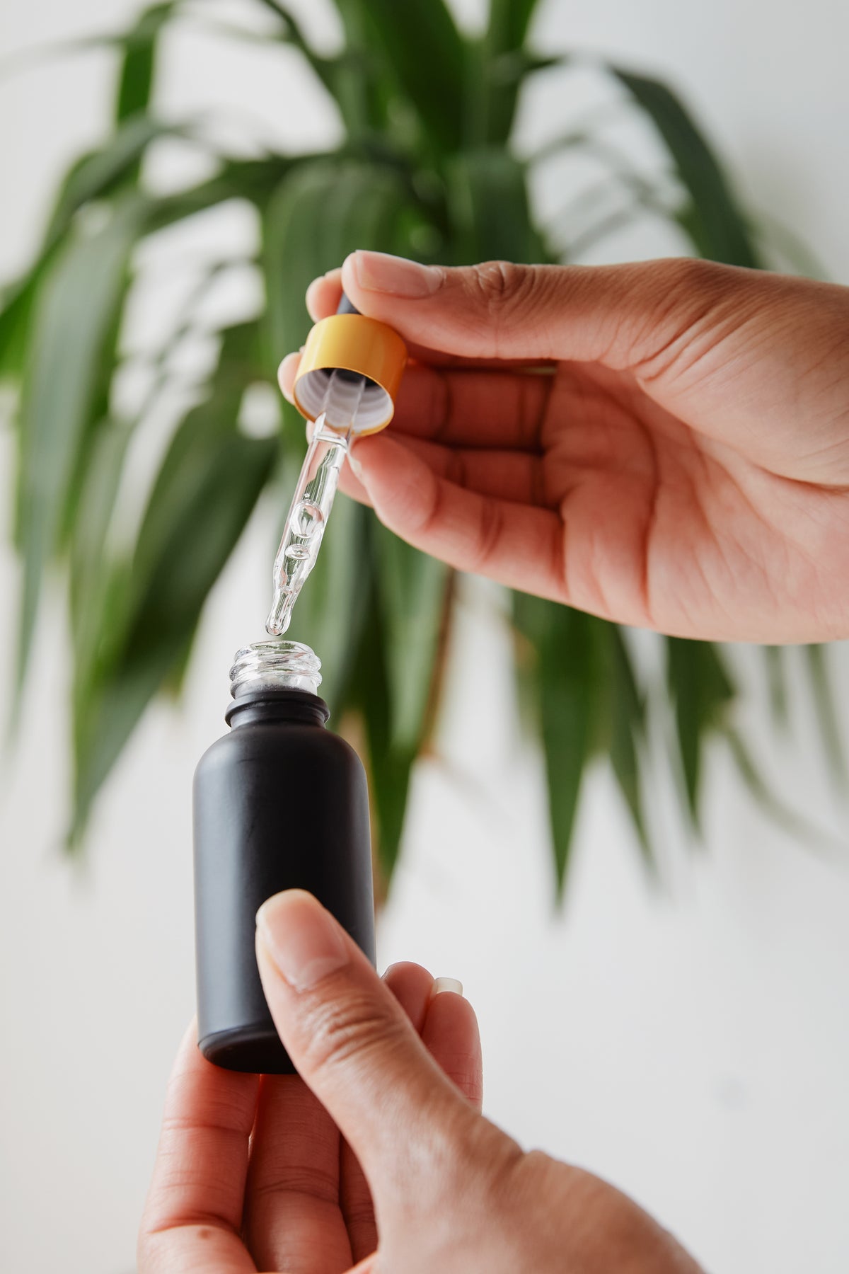 Supplements | Compass Laboratory